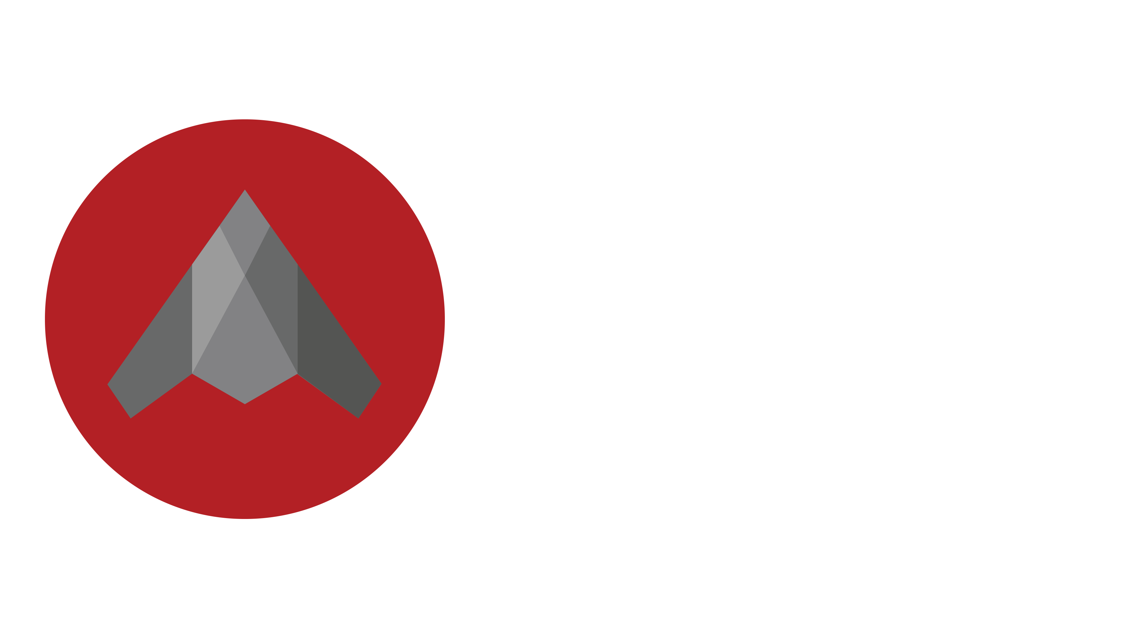 Stealth Films Logo TRANSPARENT WHITE – Stealth Films